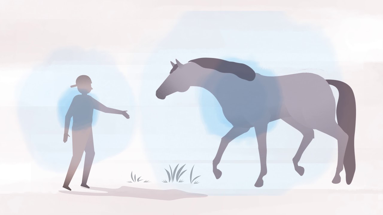 Raven Rock Ranch Splainers - YouTube