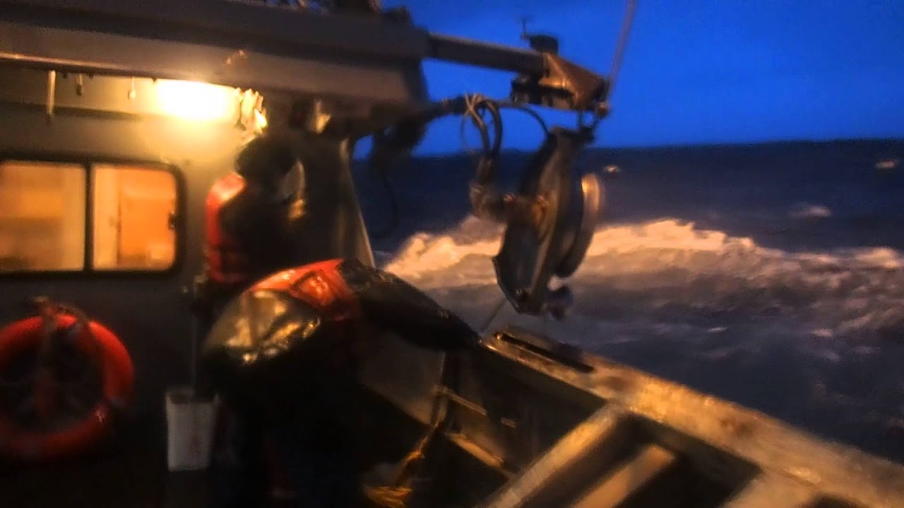 Pot Cod, Western Gulf - F/V Adamant, 2015 - YouTube