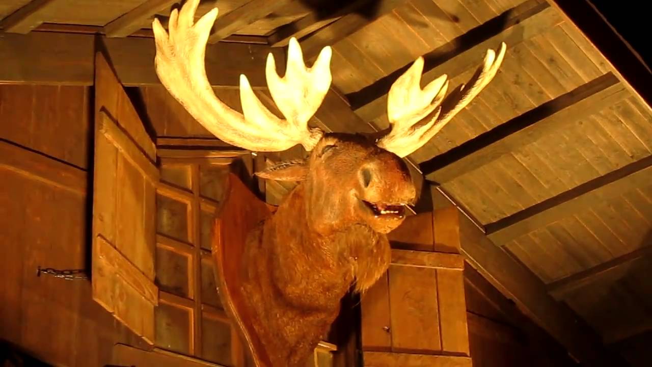 Talking moose - YouTube