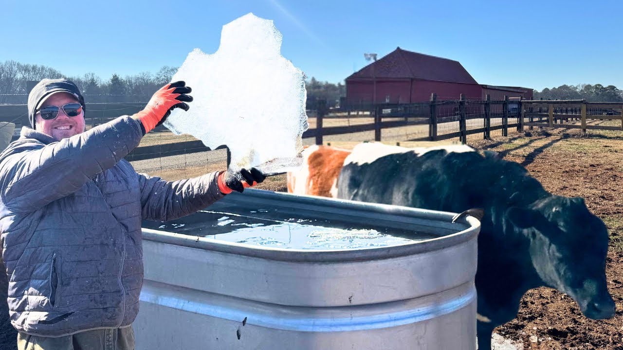 Winter Stock Tank Solutions: Keep Your Water Flowing - YouTube