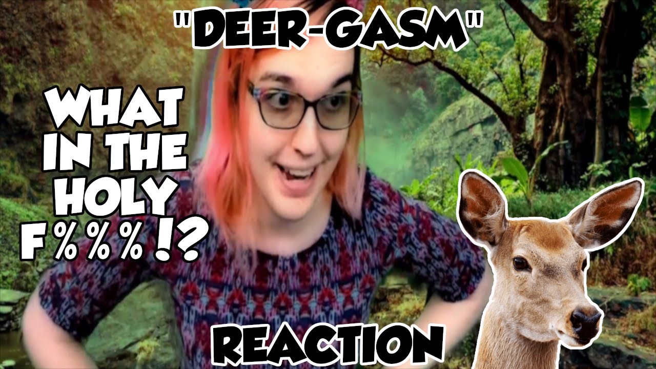 DEERGASM REACTION - WTF? - YouTube