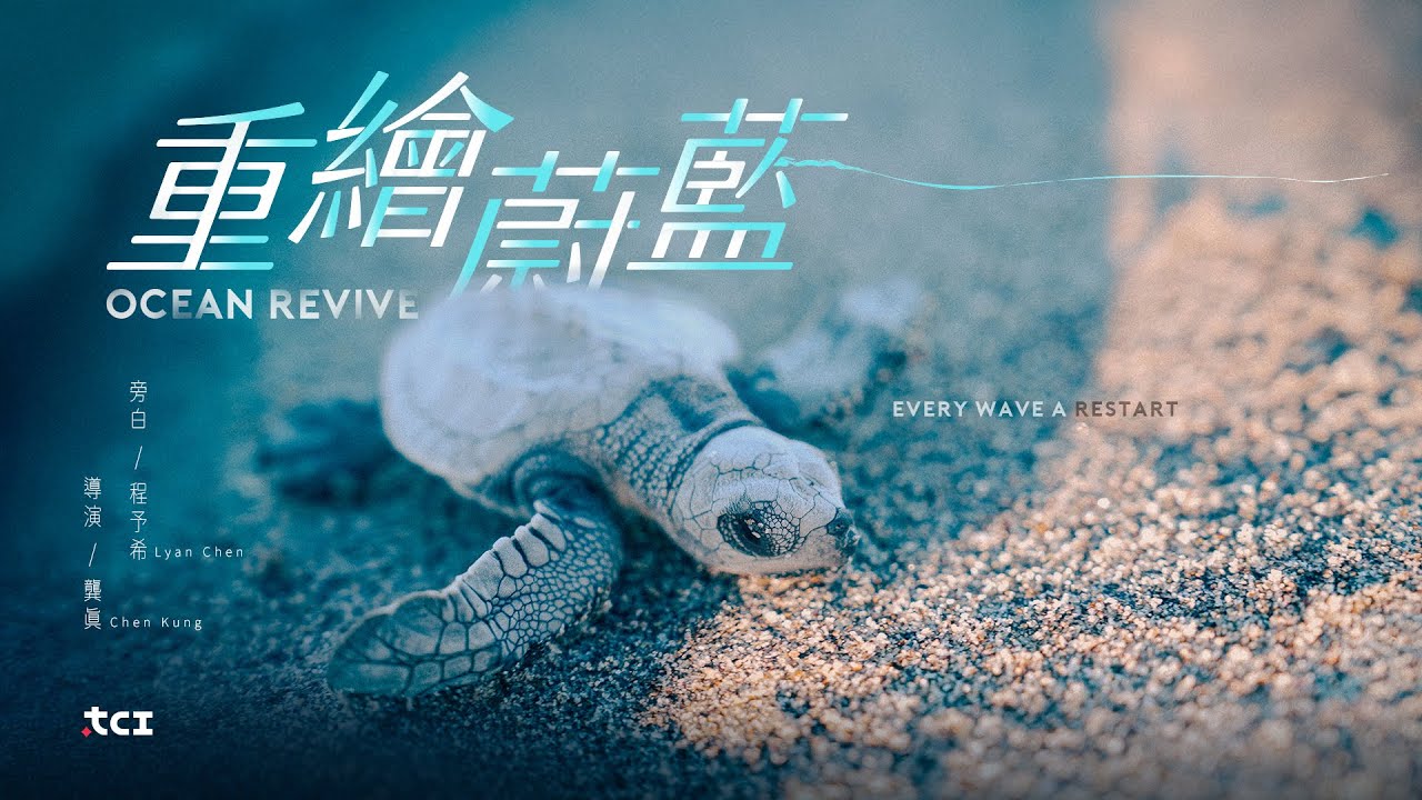 重繪蔚藍 Ocean Revive｜為海洋。重新上色：「每一步，都是努力生存的賭注。」 - YouTube