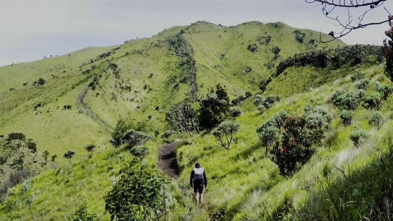Pendakian Gunung Merbabu [4K] [UL] via Selo 3145 MDPL - YouTube