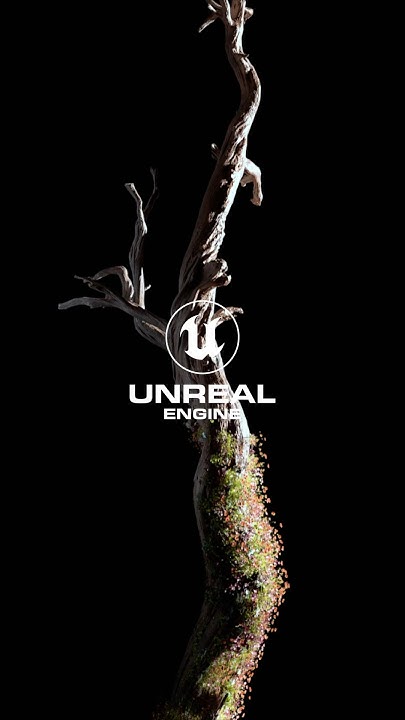 Plant Growth | UE5 #3dartist #unrealengine - YouTube