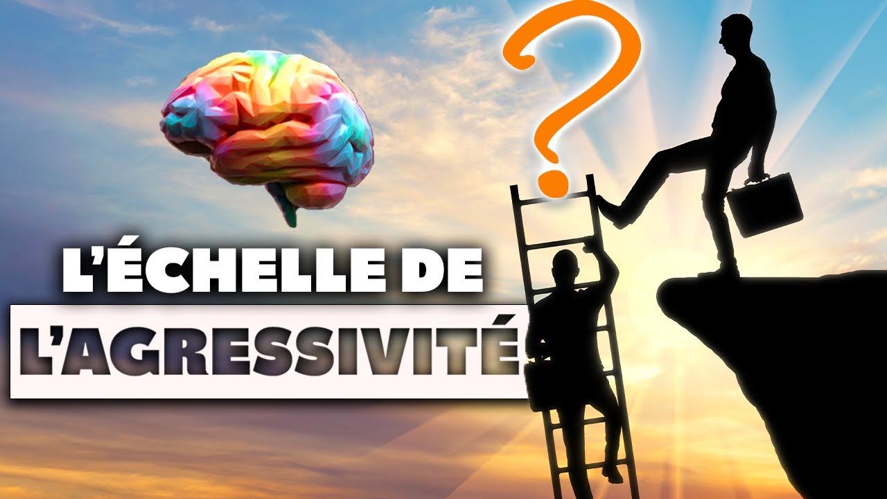 L'échelle de l'Agressivité en Psychologie expliquée SIMPLEMENT - YouTube