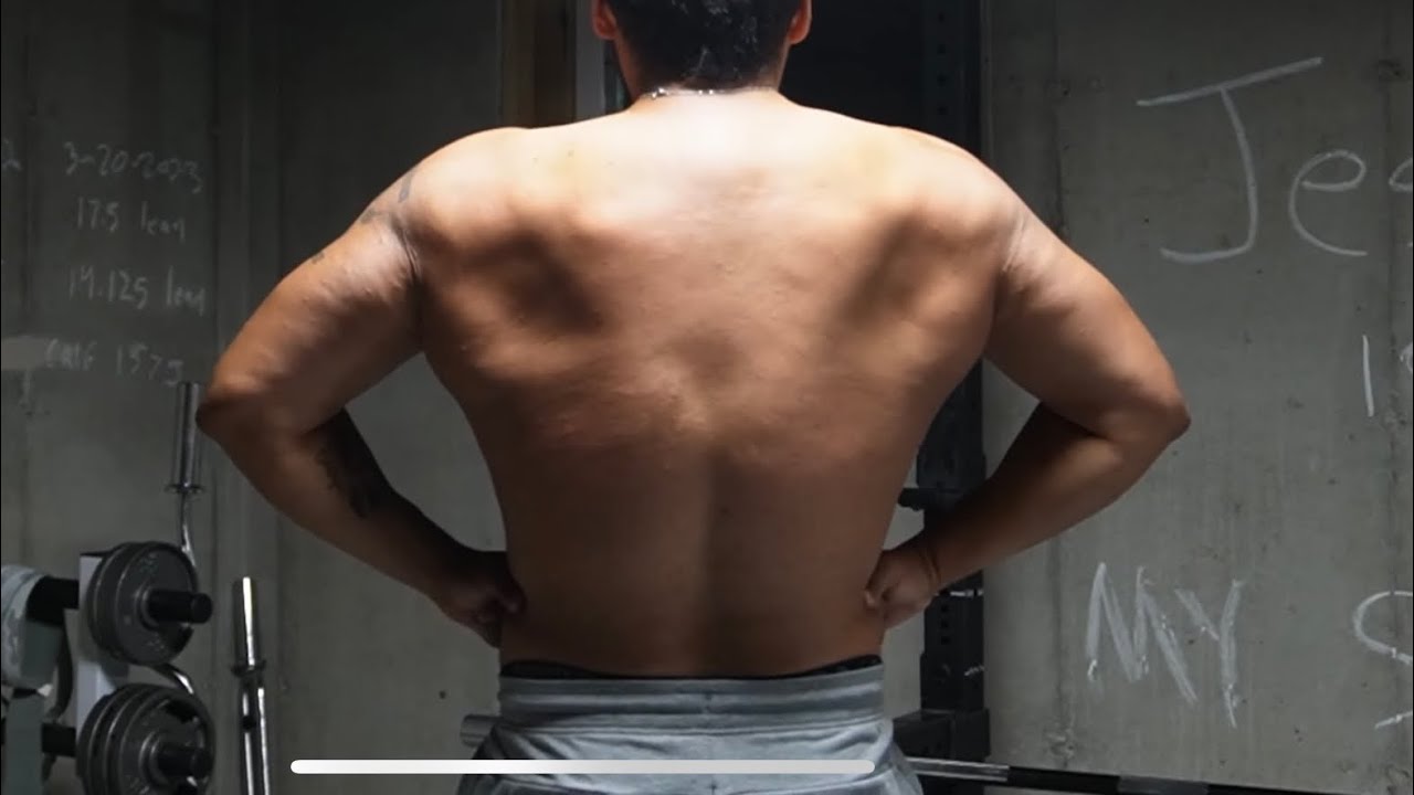 Week 3 250mg Test Cyp - Back - YouTube
