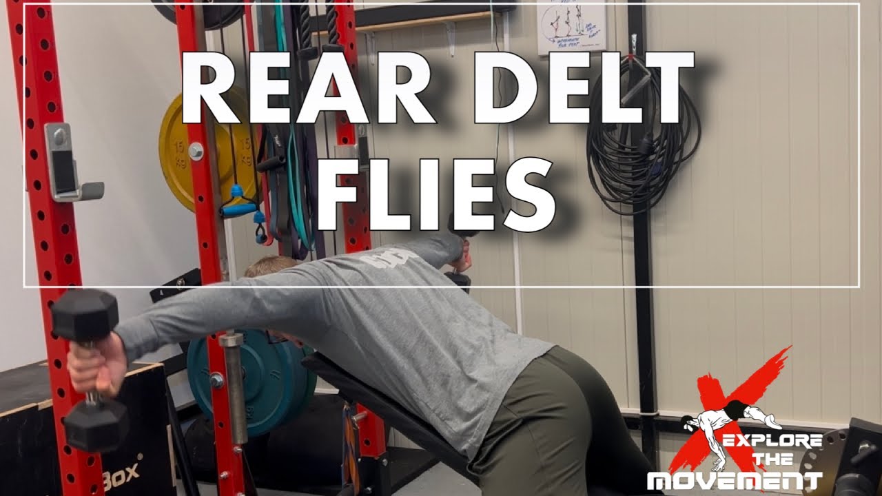 Rear Delt Flies | Explore The Movement - YouTube