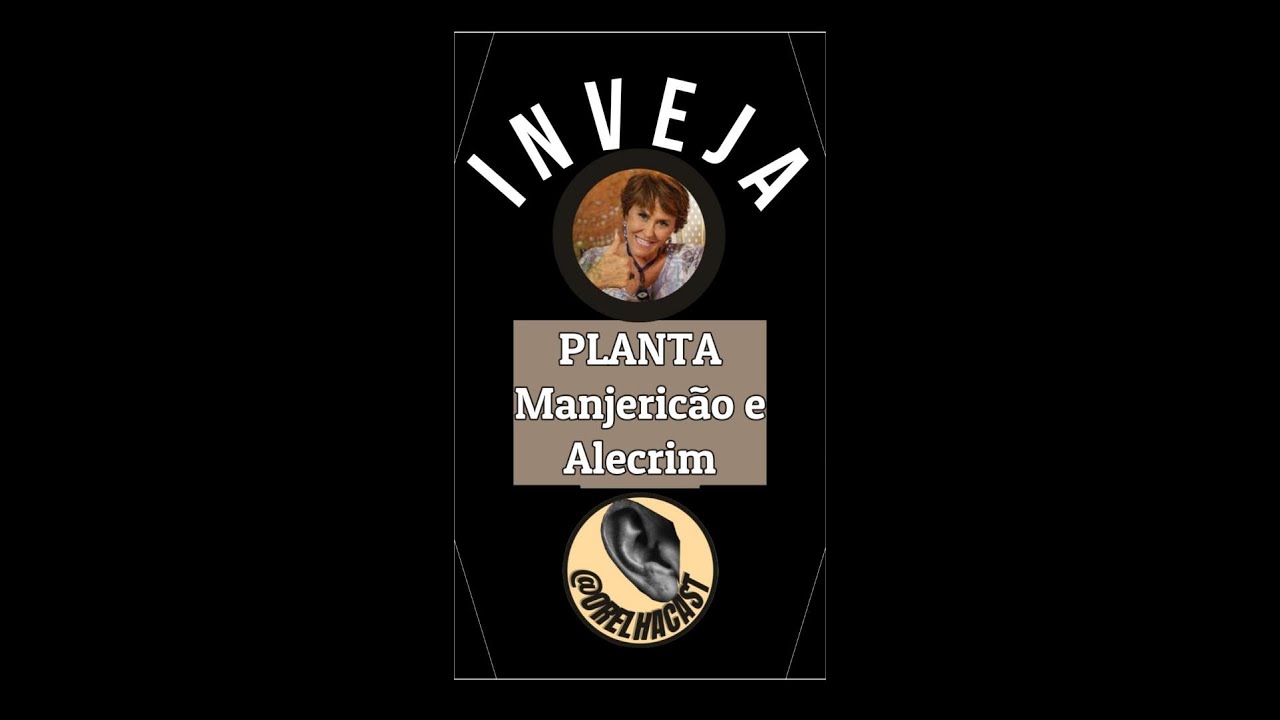 Manjericão e Alecrim Plantas Mágicas Contra a INVEJA! 🌿 #Manjericão # ...