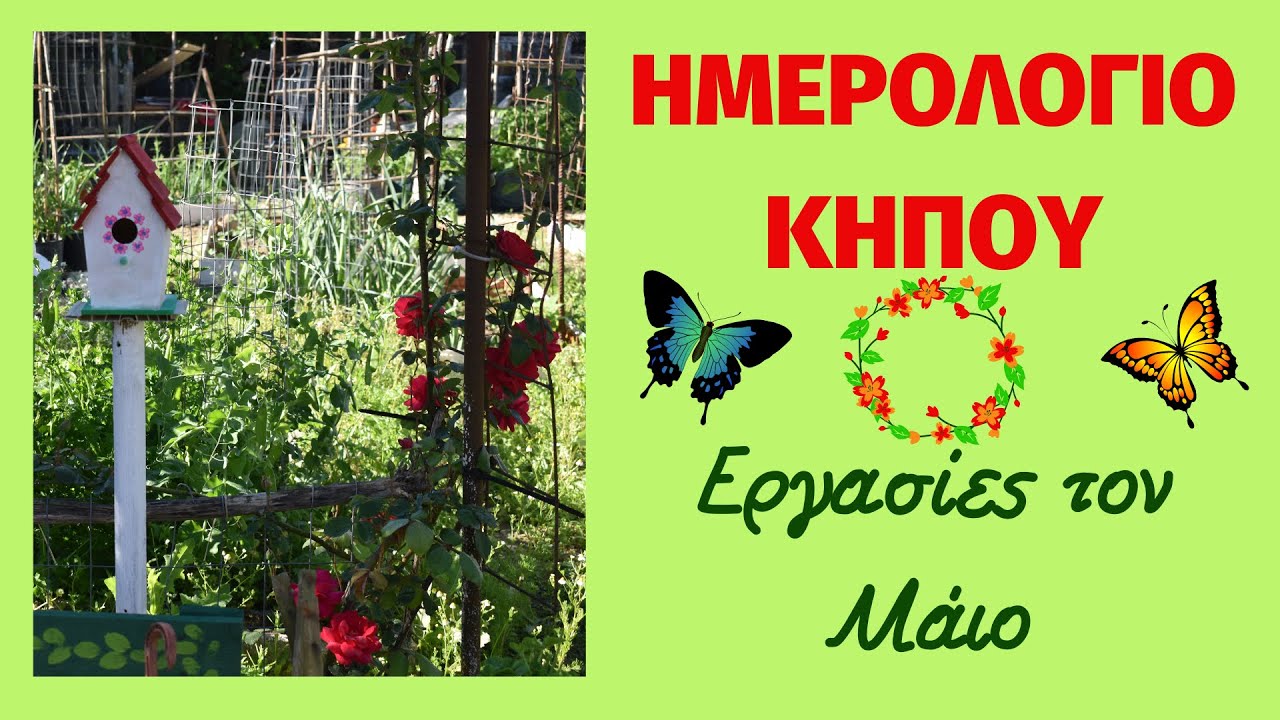 Εργασιες τον Μαιο στον κηπο - YouTube