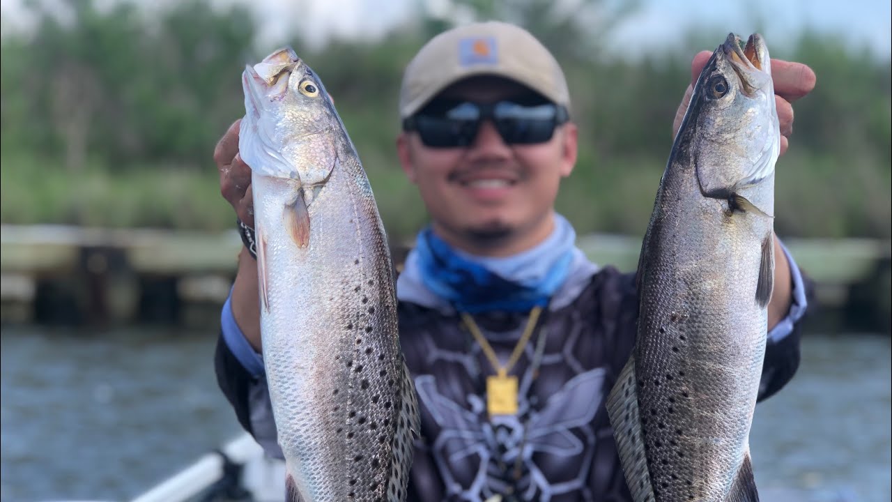 Topwater REDFISH and Bayou TROUT!?! - YouTube