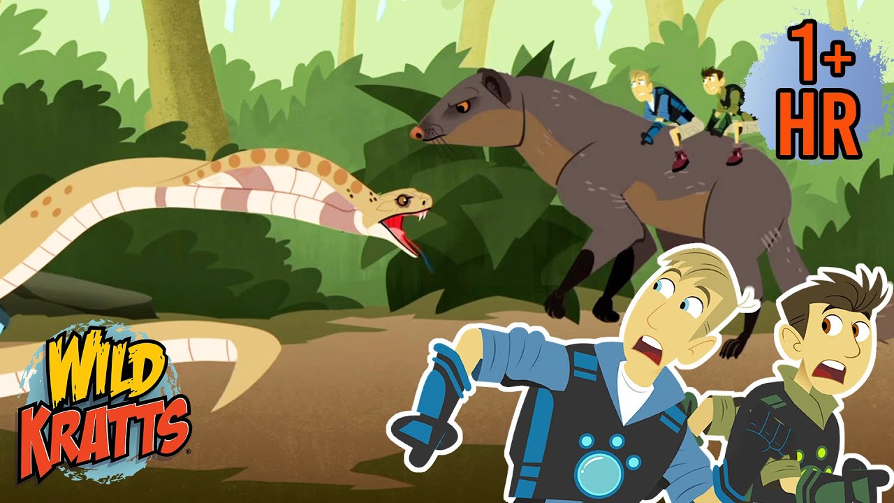 Creature Combat | Cobra Vs Mongoose | Wild Kratts - YouTube