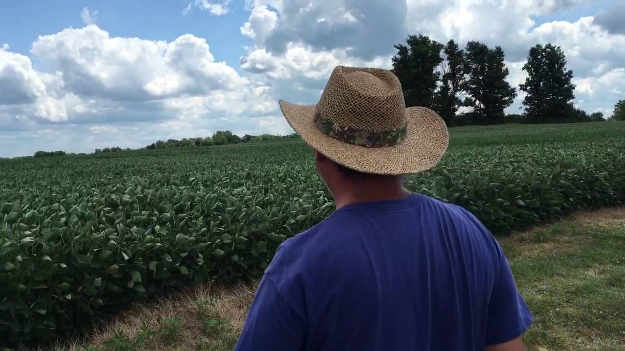 David Rockstar Fenrich - YouTube