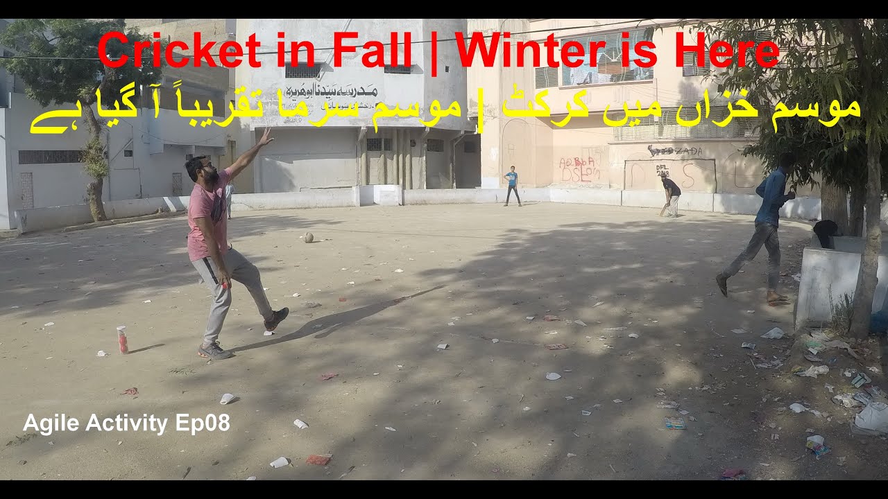Cricket in Fall | Winter is Almost Here | Agile Activity Ep 08 - YouTube