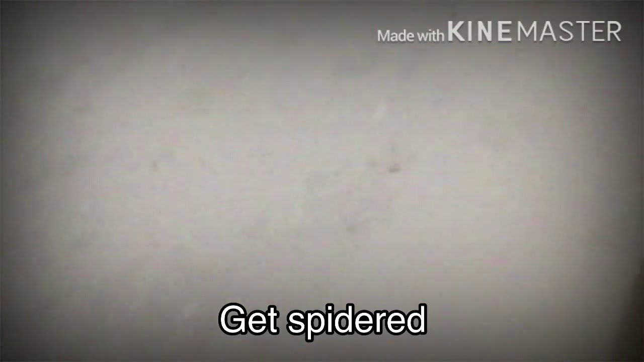 Get spidered - YouTube