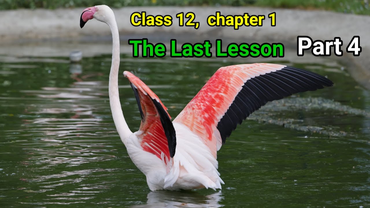 The Last Lesson Part 4 - YouTube