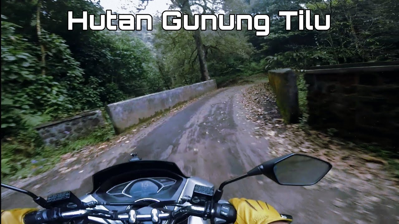 Riding di tengah hutan | jalur alternatif Pangalengan-Gambung via ...