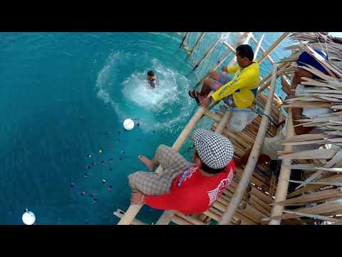 BAKLAD HARVEST - FISH CAGE -BUNGSOD - YouTube