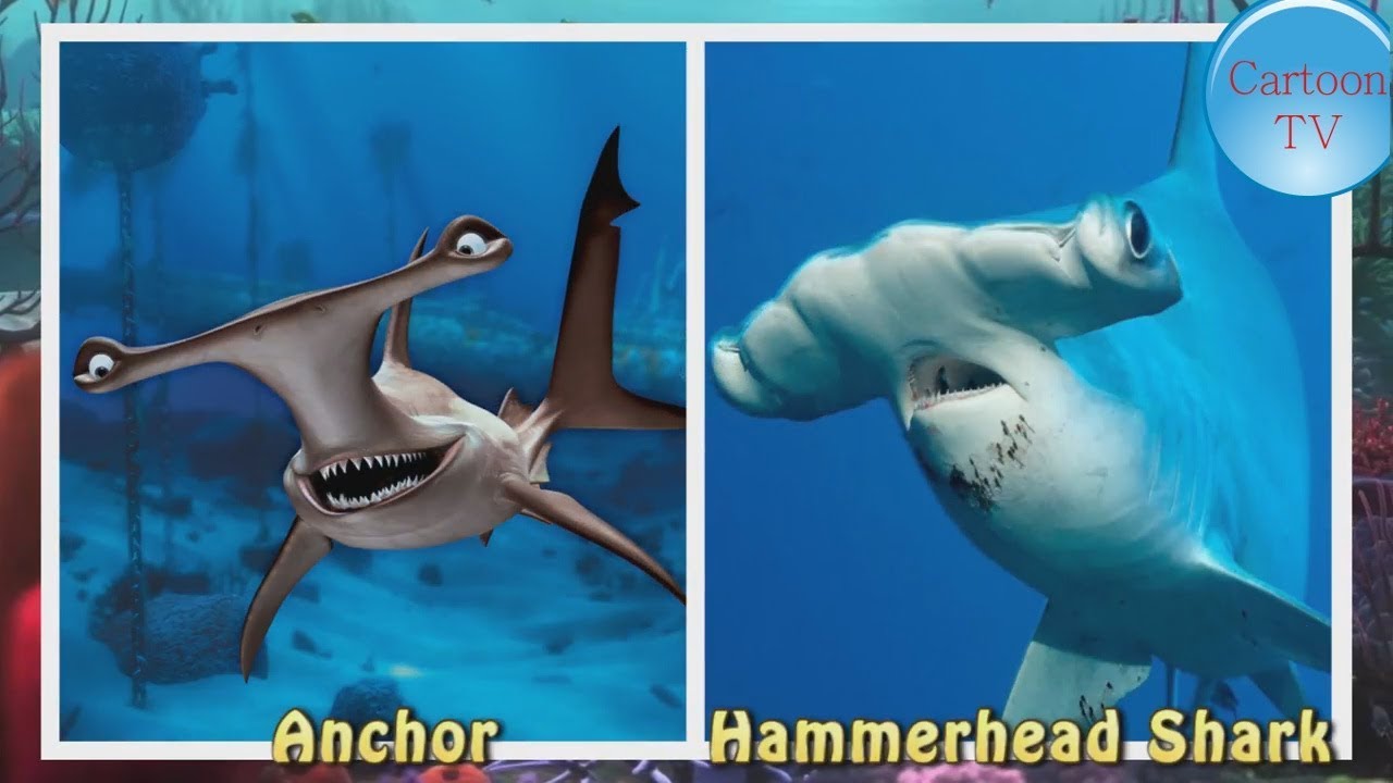 Disney Finding Nemo Characters in Real Life #3 - YouTube