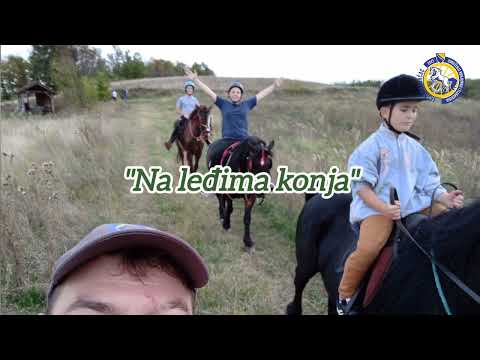 Pravi konjanik ne počinje u sedlu, već u štali! \