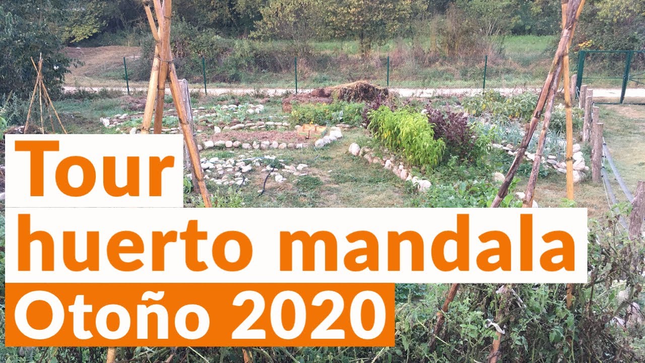 👀 Tour por el huerto mandala 🟠 Otoño 2020 - YouTube