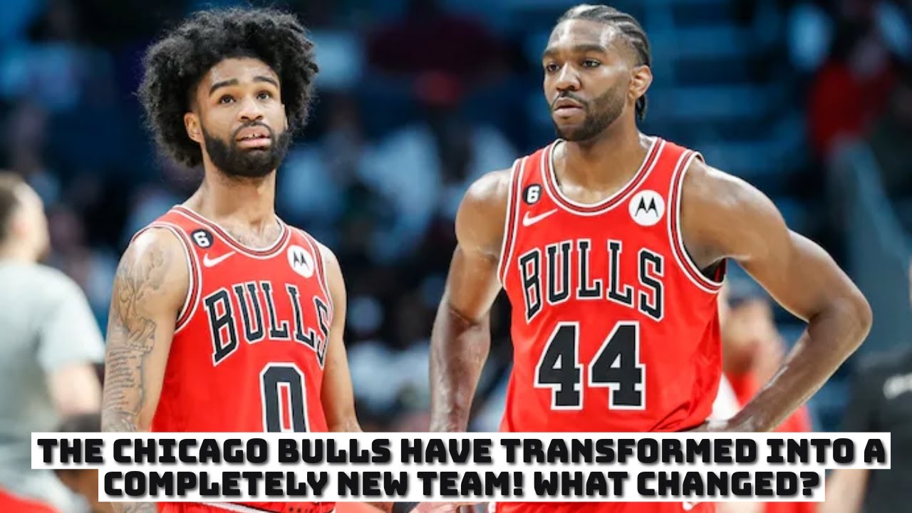 The Chicago Bulls Have Transformed Into A Completely New Team! What ...
