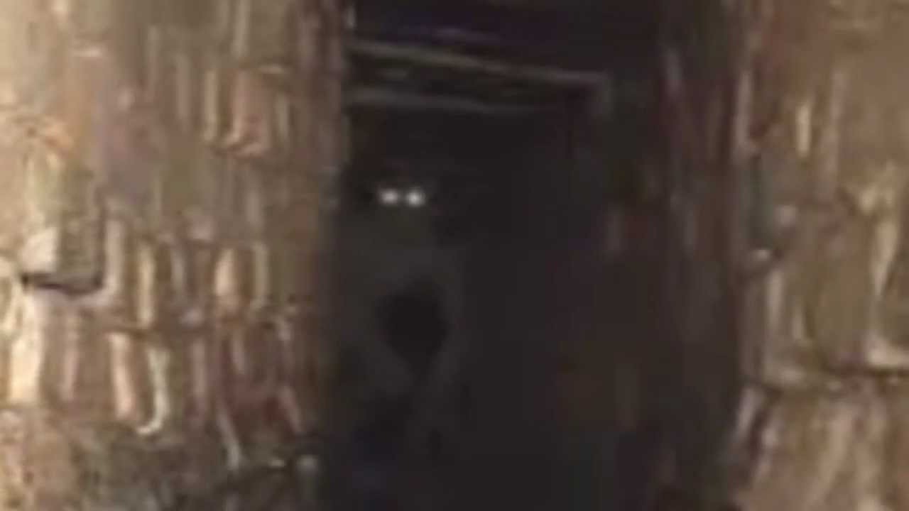 Scary Creature.... - YouTube
