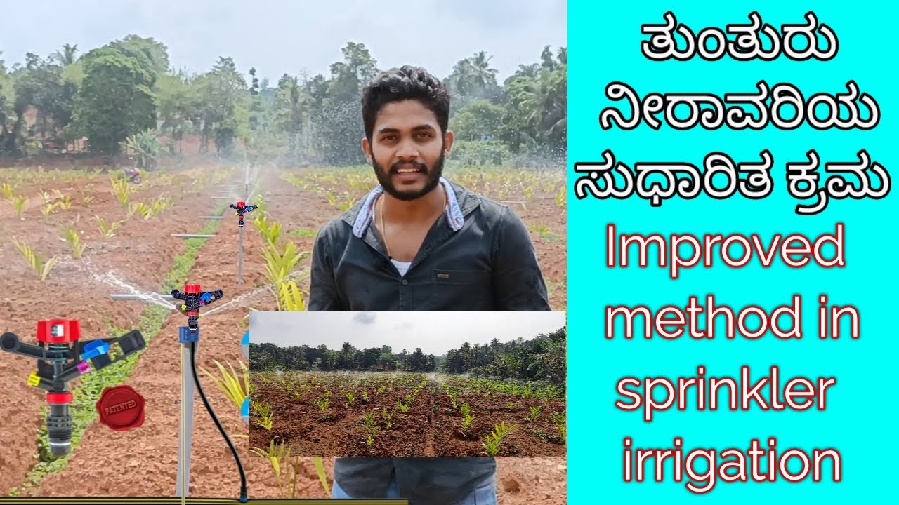 Sprinkler irrigation system with many advantages. ತುಂತುರು ನೀರಾವರಿಯ ...
