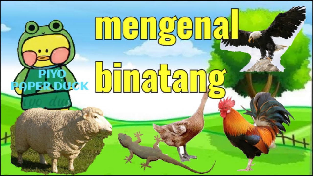 belajar mengenal nama binatang 》 piyo paper duck - YouTube