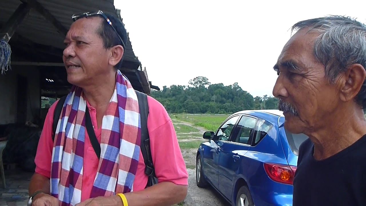 Wasan Padi Farm , Paddy Production Project , Padi Laila - YouTube