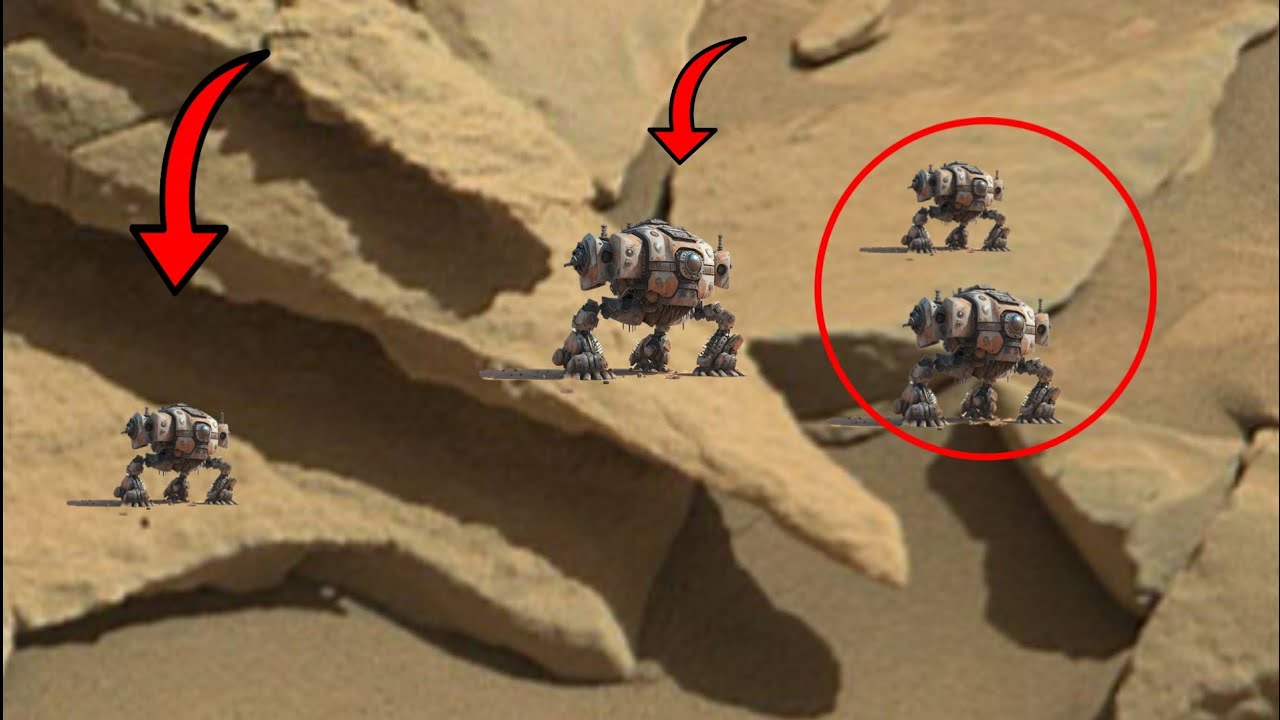 NASA Mars Perseverence found insect new big updates by NASA rover ...