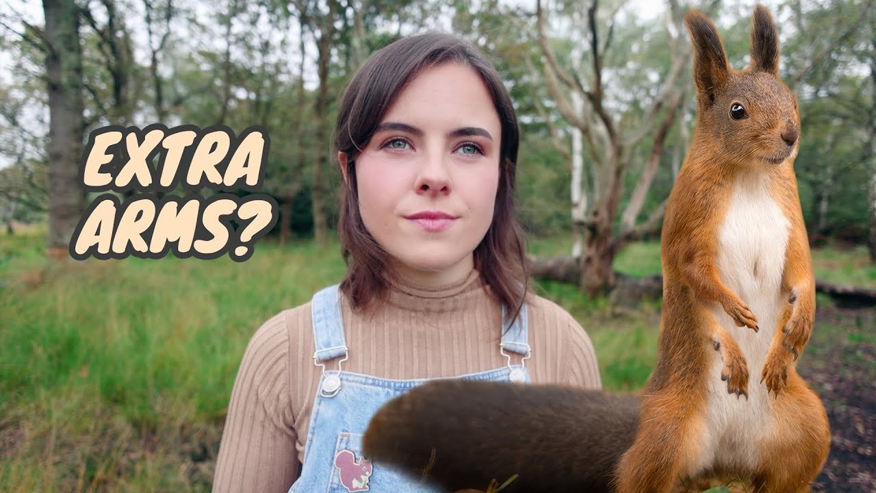 I Search for the Mutant Red Squirrels on Mysterious Islands... - YouTube