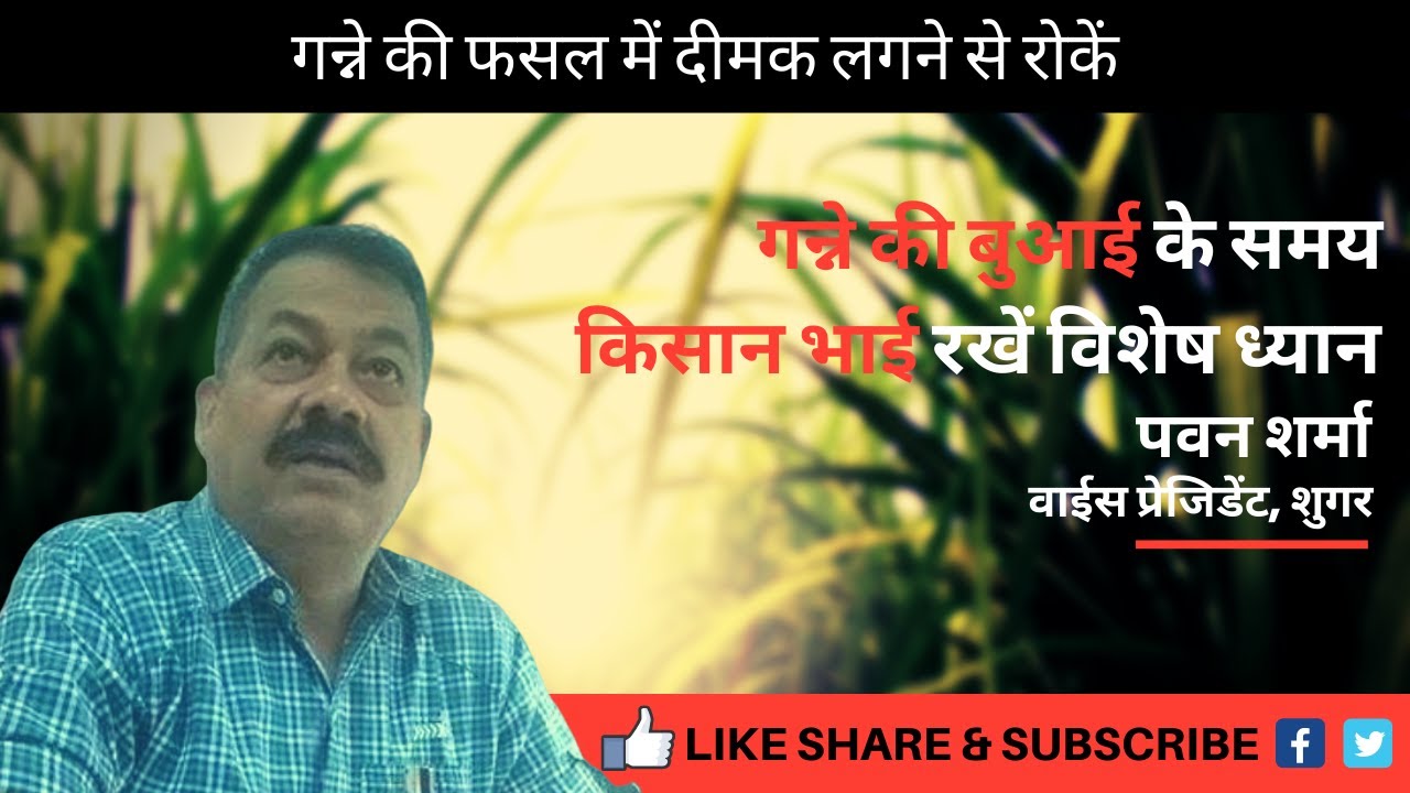 EP-2: गन्ने की फसल में दीमक लगने से रोकें | Pavan Sharma - YouTube