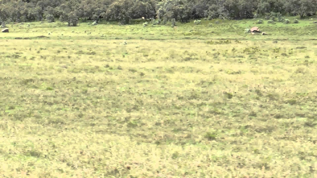 Hales Gate National Park - YouTube