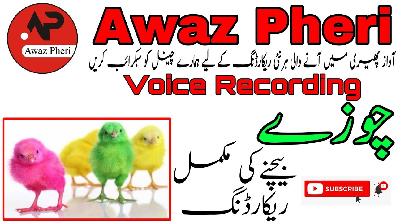 Chozay Bachne Ki Awaz | Choochy | Awaz Pheri Voice Recording - YouTube