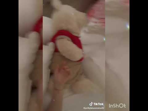 KUMPULAN TIKTOK PRILLY LATUCONSINA