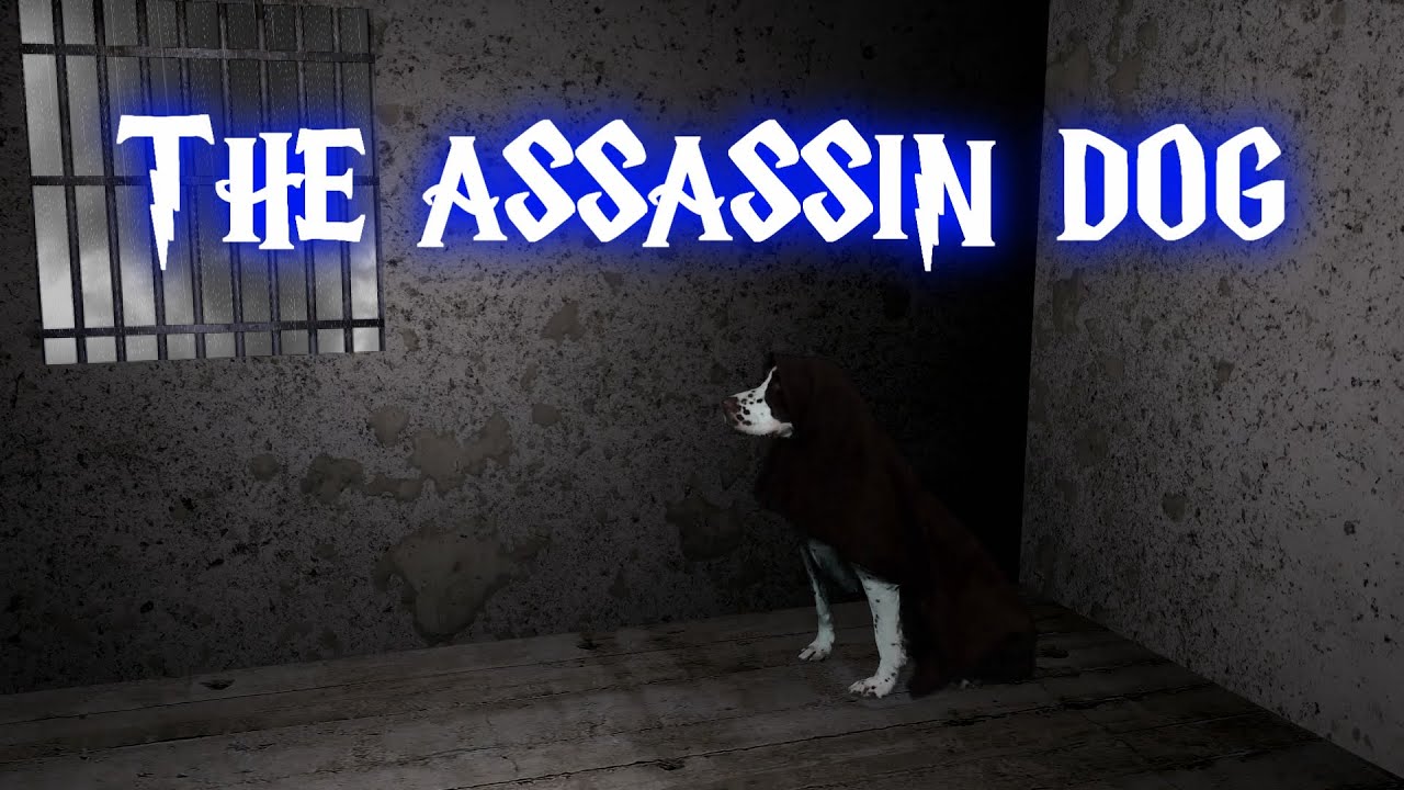 Funny Assassin Dog Video - SuperDog - YouTube