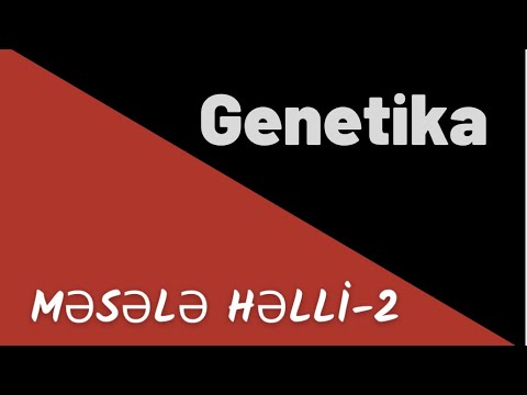ders 13  Genetika mesele helli 2 ci hisse