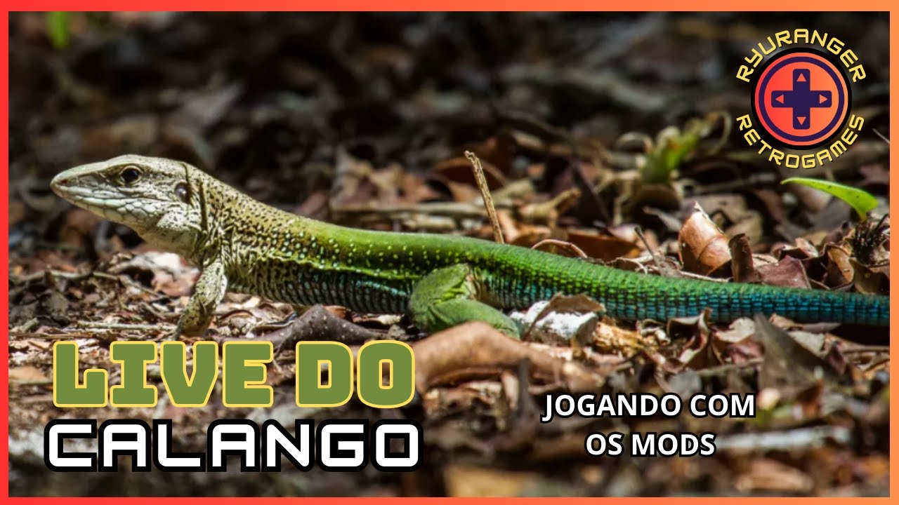 LIVE DO CALANGO - JOGANDO COM OS MODERADORES DO CANAL!!! - YouTube