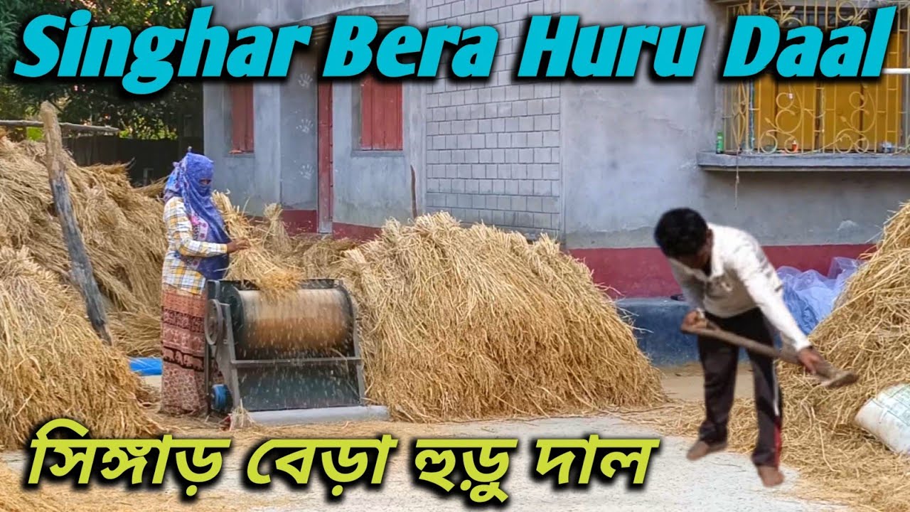 Singhar Bera Huru Daal Video🔥|| Santali Village Blog|| Paddy Threshing ...