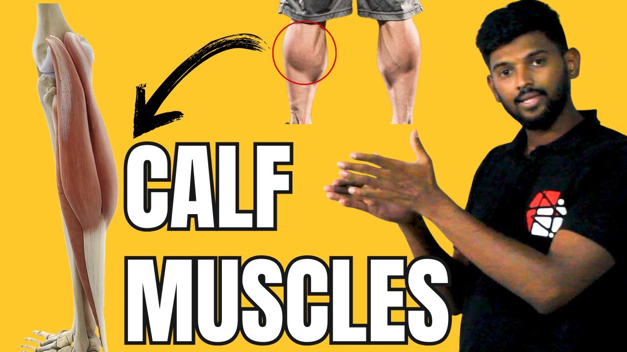 Calf Muscles: Anatomy and Function | Muscle Knowledge Series - YouTube