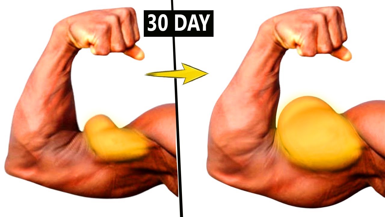 Biceps Transformation : A Workout to Shape Your Arms in 30 day - YouTube