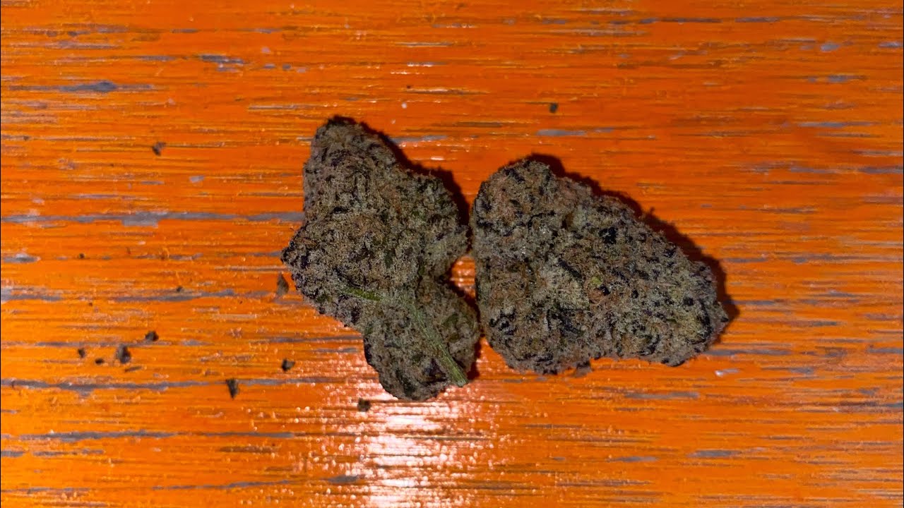 Ice Cream Candy 19.78% Verano Reserve Flower | MÜV Palm Harbor - YouTube