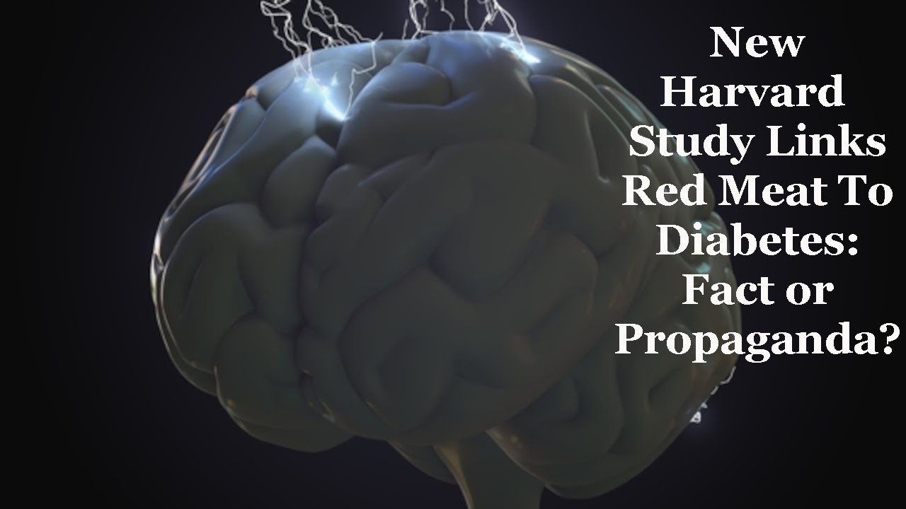 New Harvard Red Meat Study: Fact or Propaganda? - YouTube