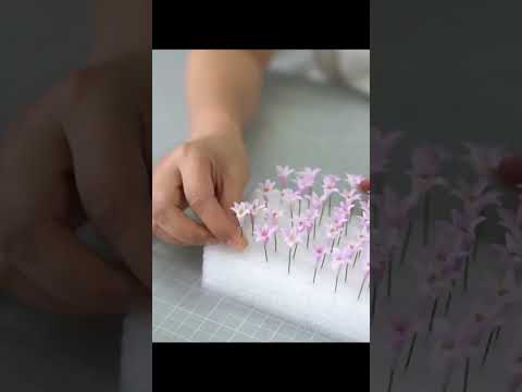 Meditation Music, Relaxing Sleep Music. Deep Sleeping Music, Stress Relief, Peace, Serenity#shorts