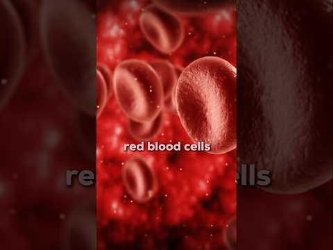 Why Do Your Muscles Need More Blood During Exercise