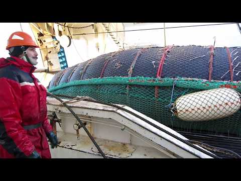 krill fishing in Antarctica.