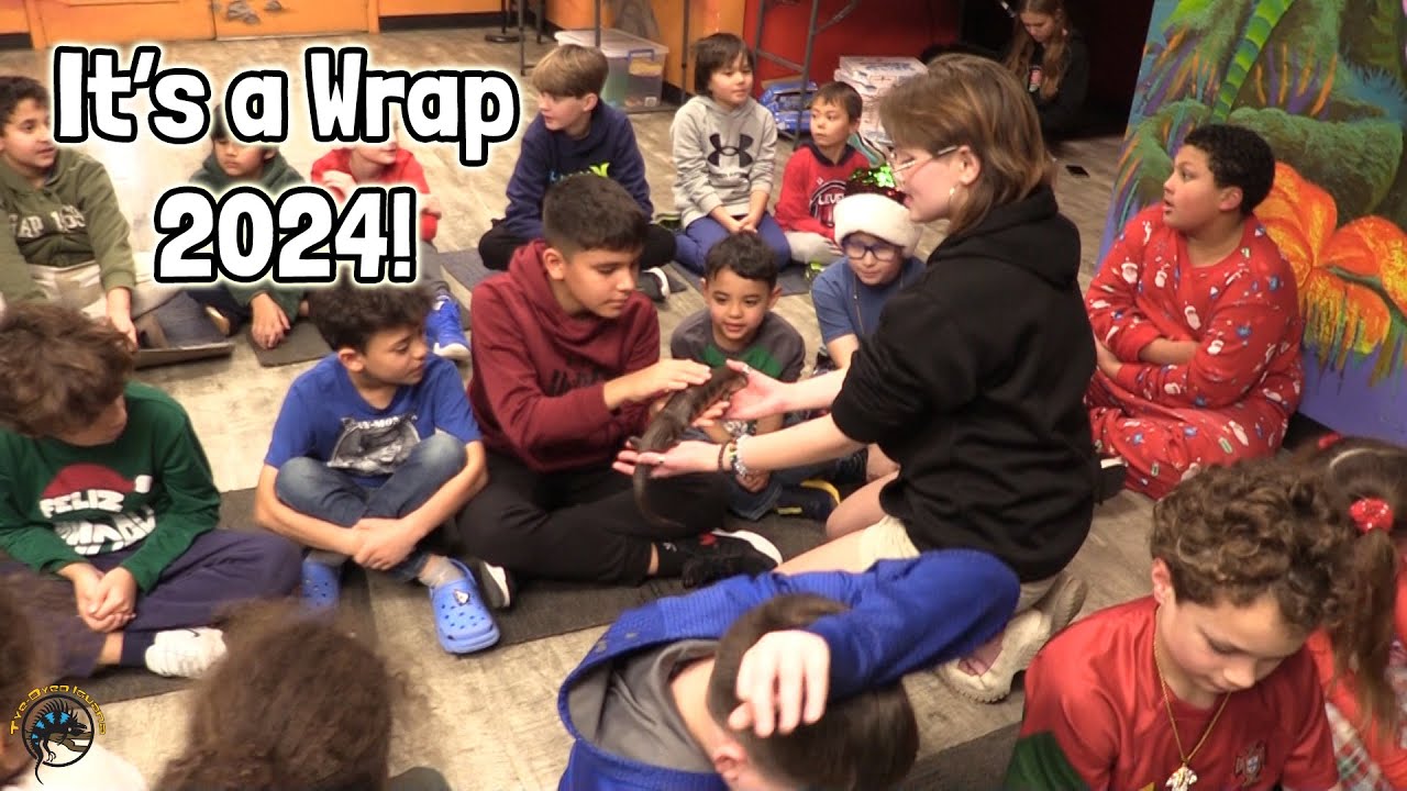 Let's Check Out It's a Wrap 2024! - TDI's Fun Kids' Holiday Event! 🎁 ...