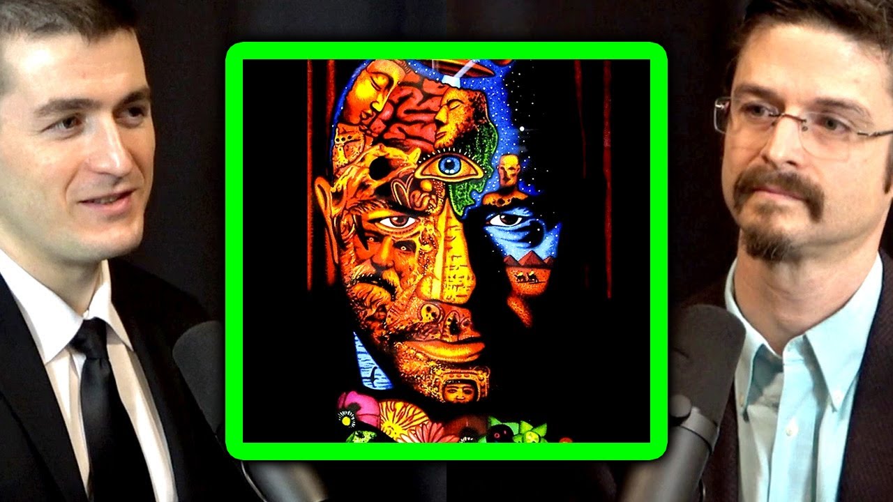 Joe Rogan's DMT experience | Matthew Johnson and Lex Fridman - YouTube