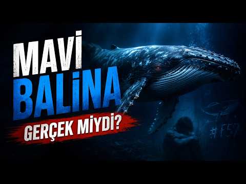 Mavi Balina oyunu gerçekten var mıydı? | İnternet Kültürü
