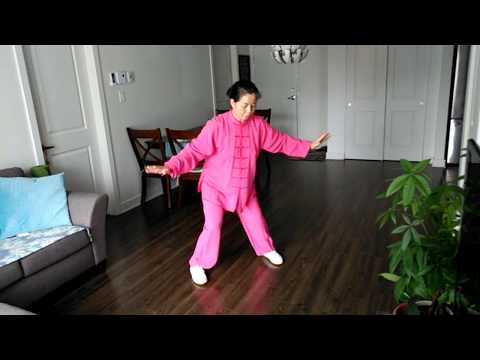 Tai Chi 24 form performed by Yao Jin